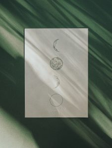 expansão – sofia dinis