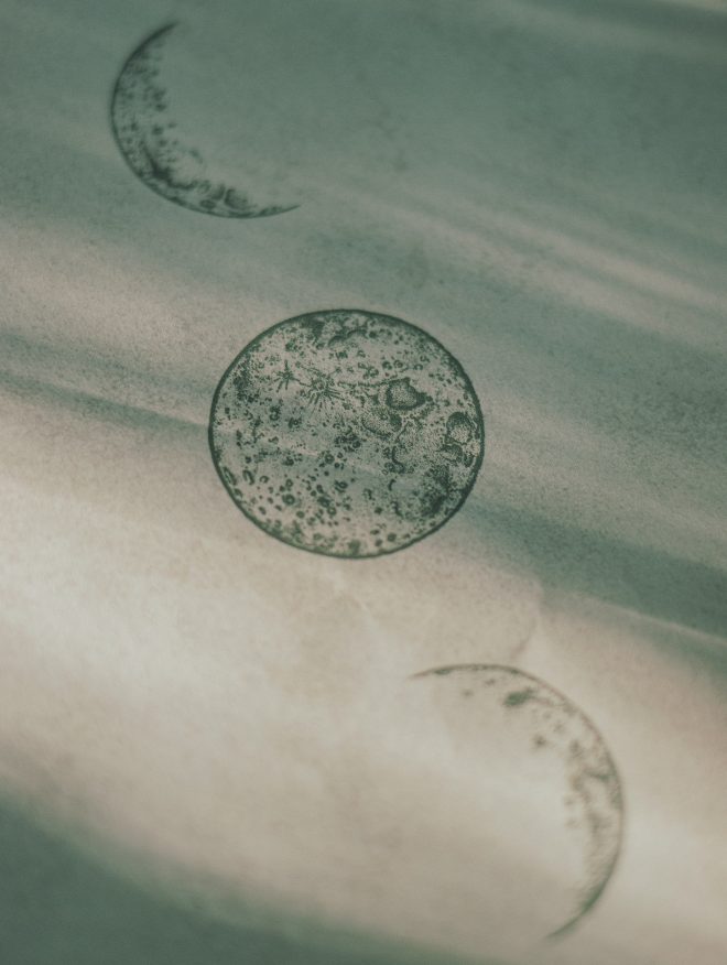 expansão – sofia dinis