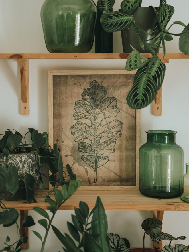 evolucionismo – sofia dinis