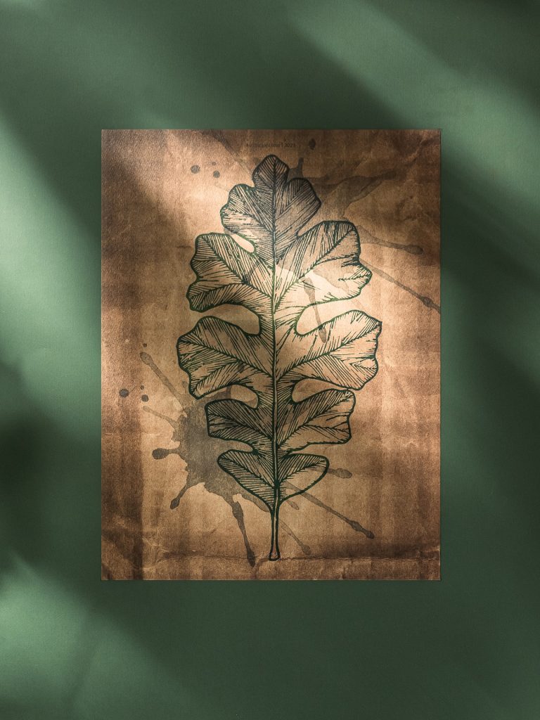 evolucionismo – sofia dinis