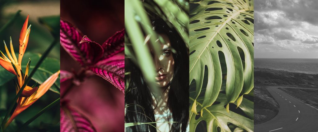 dias de primavera – sofia dinis