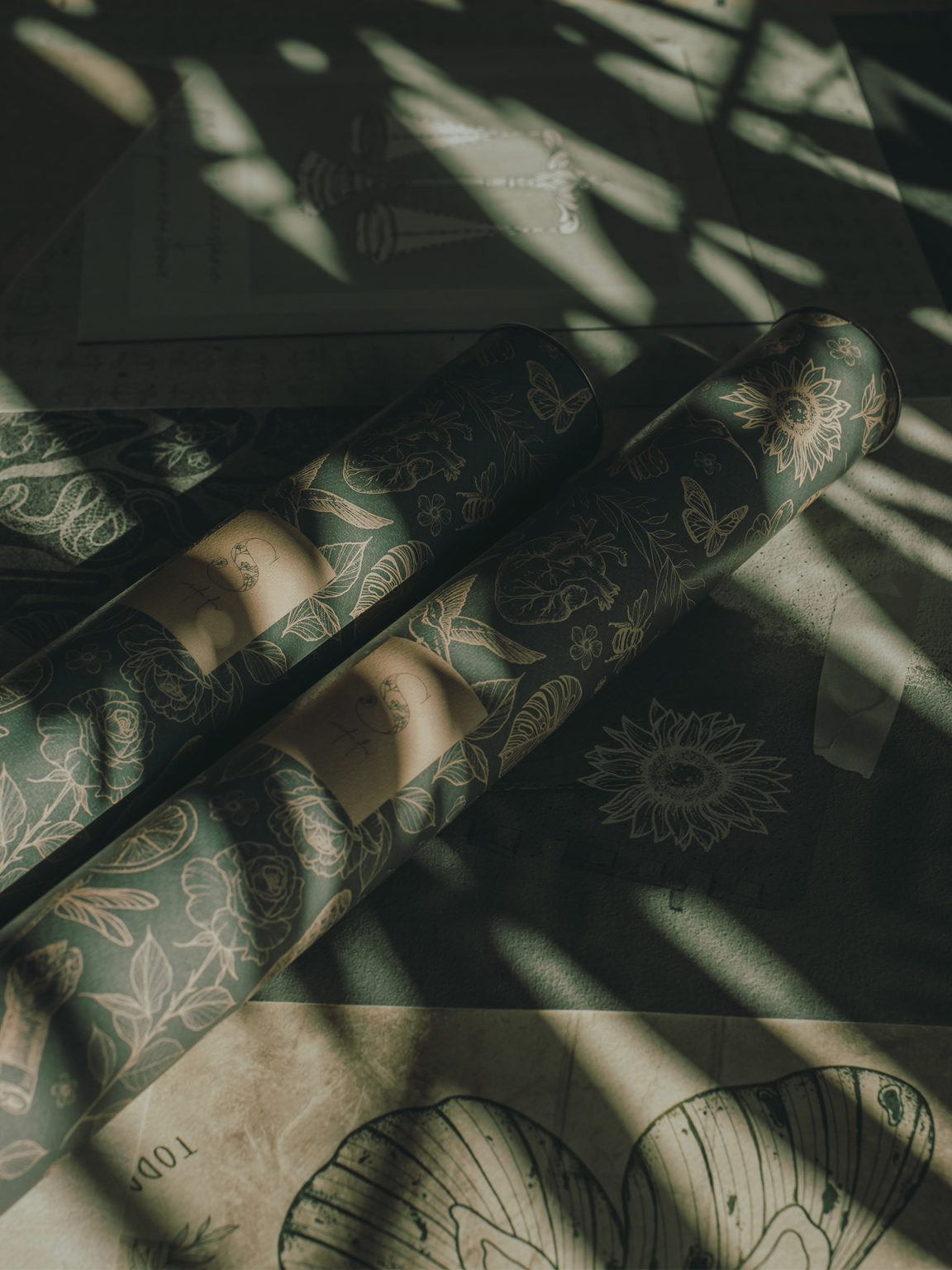 unicidade – sofia dinis